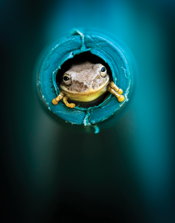 Meaningful Moments from 2020 - Main & Broad