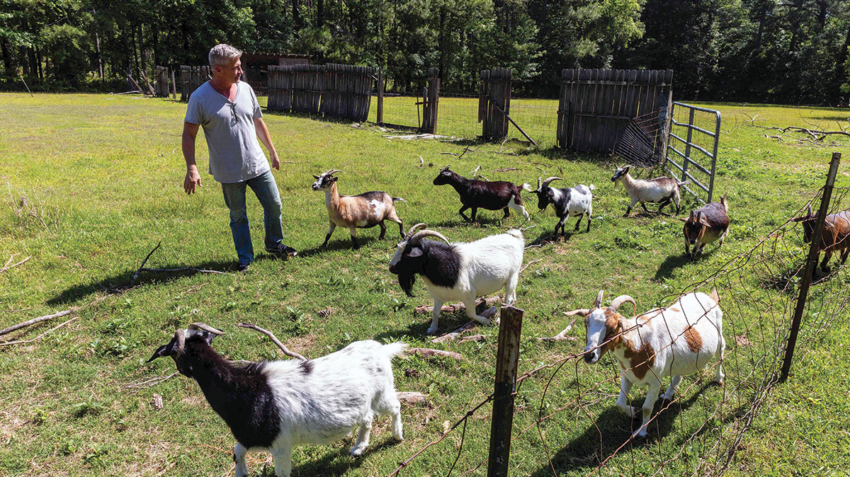 Goats Gone Viral - Main & Broad