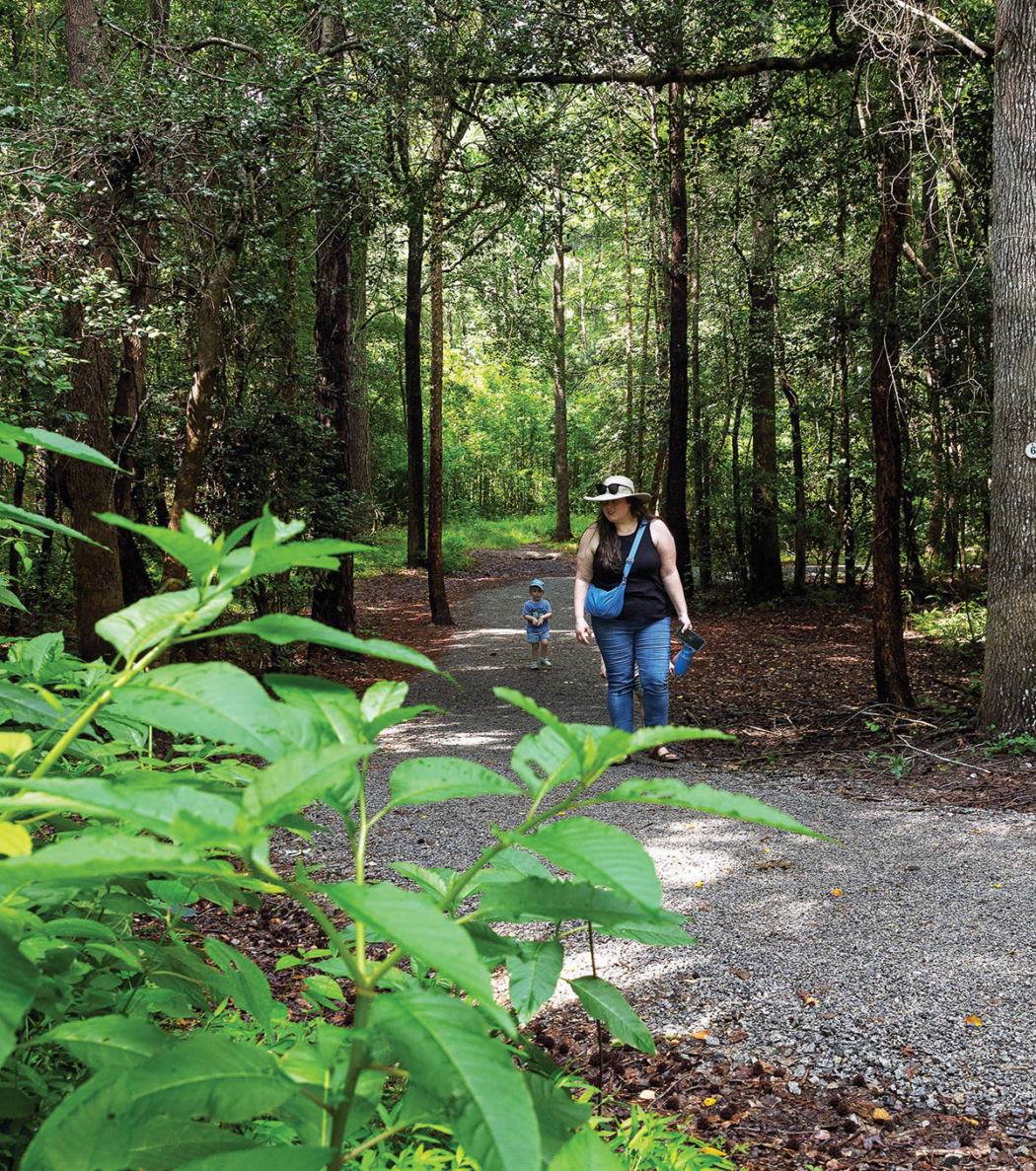 Park It!: Introducing Beech Bluff County Park - Main & Broad