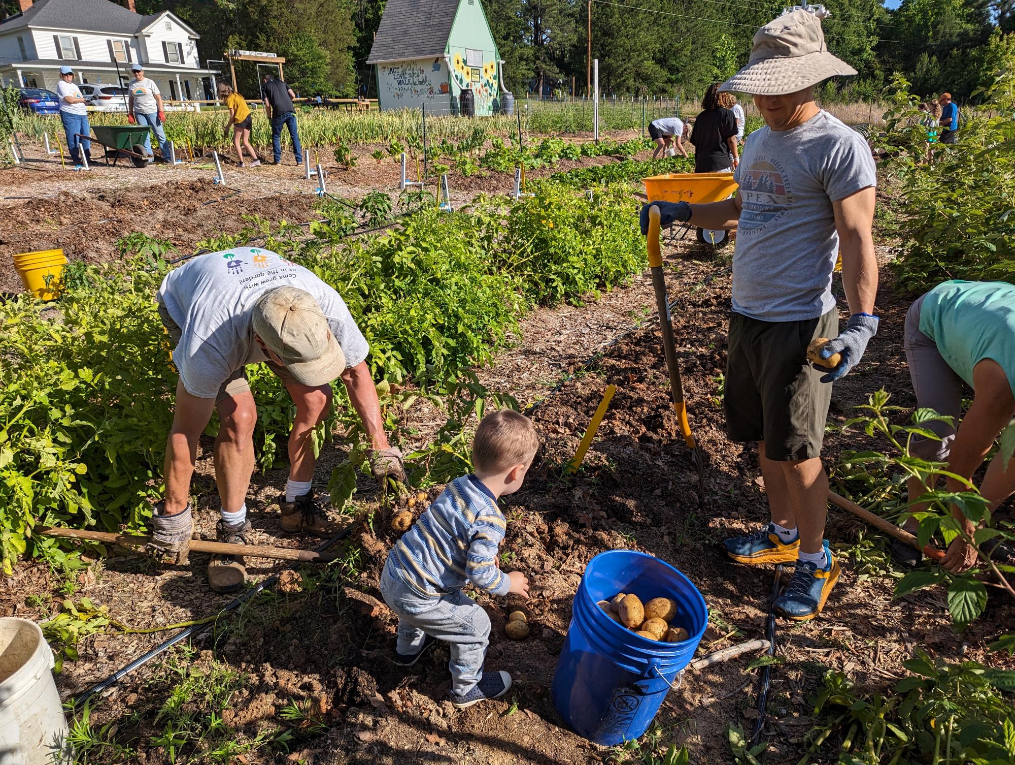 Growing Community at Simple Gifts Garden - Main & Broad